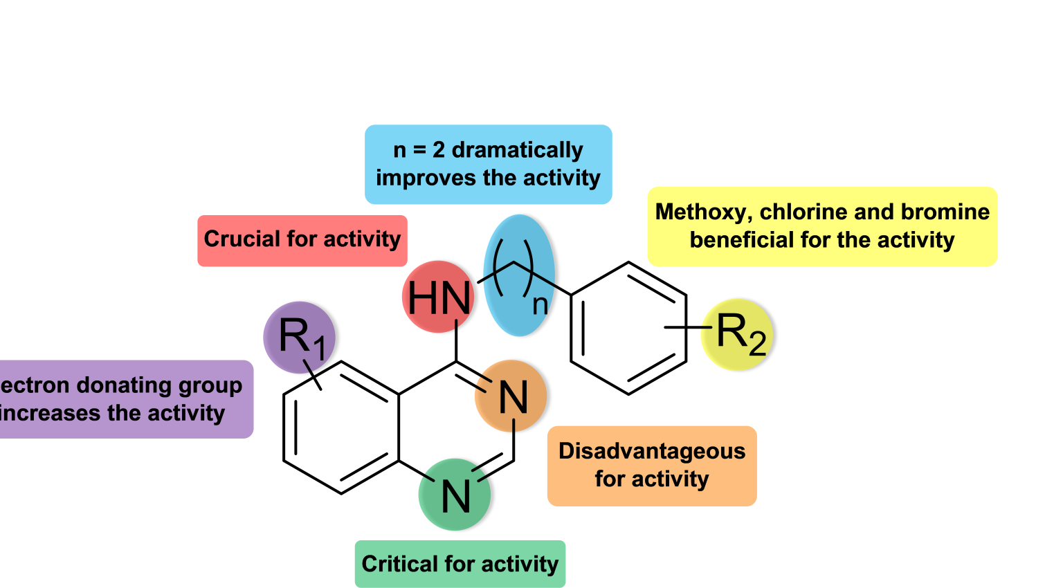 Structure–Activity Relationship (SAR) Study of Spautin-1 to