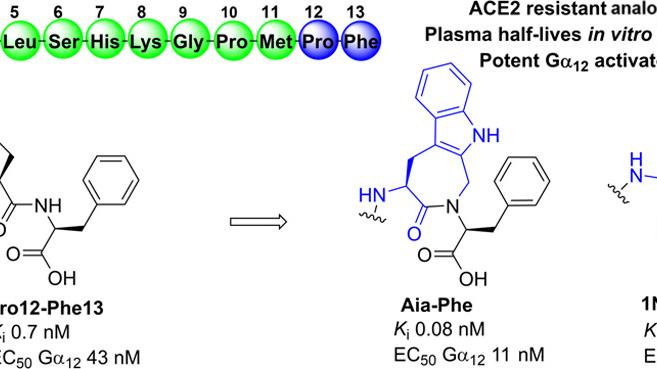 Constraining the Side Chain of C‑Terminal Amino Acids in